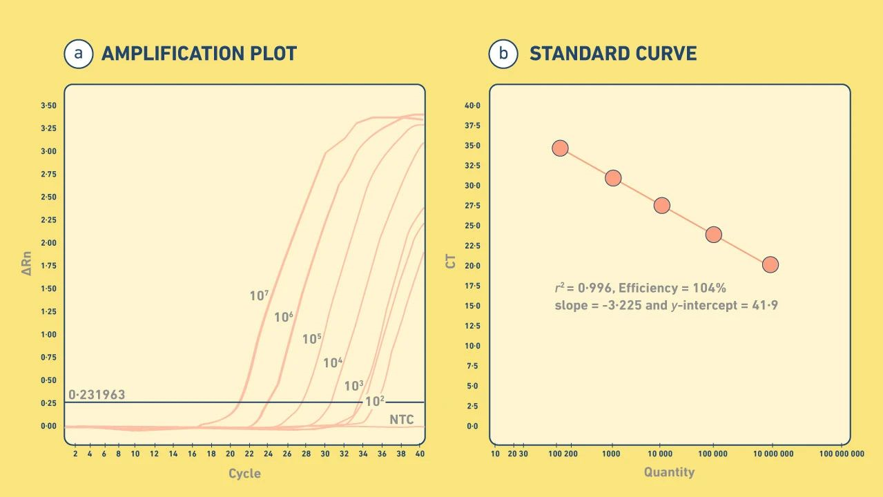 【干货分享】PCR类型及其应用的特定目的 - 2022BTE广州国际生物技术大会